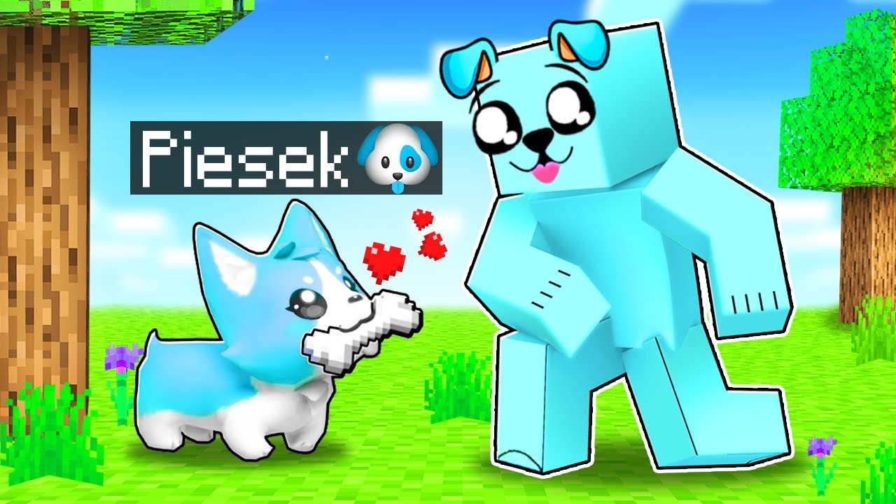 Adoptowałem PIESKA w Minecraft 🦴🐶💙 - YouTube