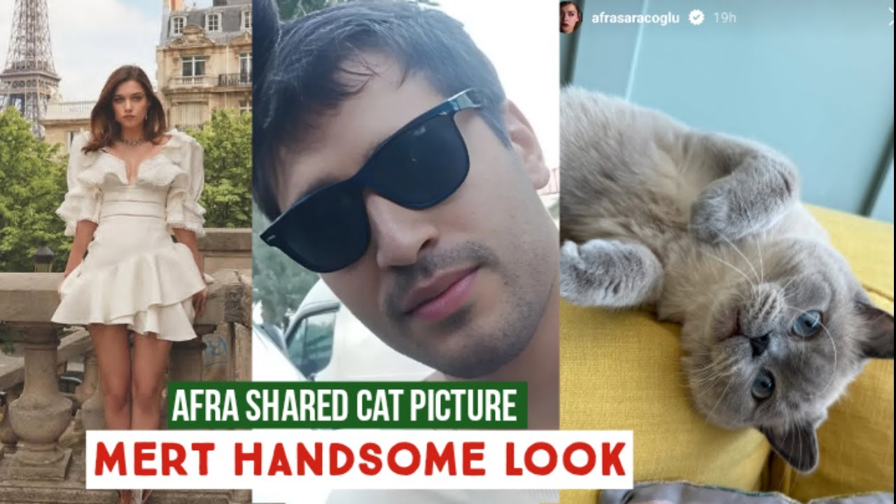 Afra Saraçoğlu Shared Cat Picture !Mert Ramazan Demir Handsome look ...