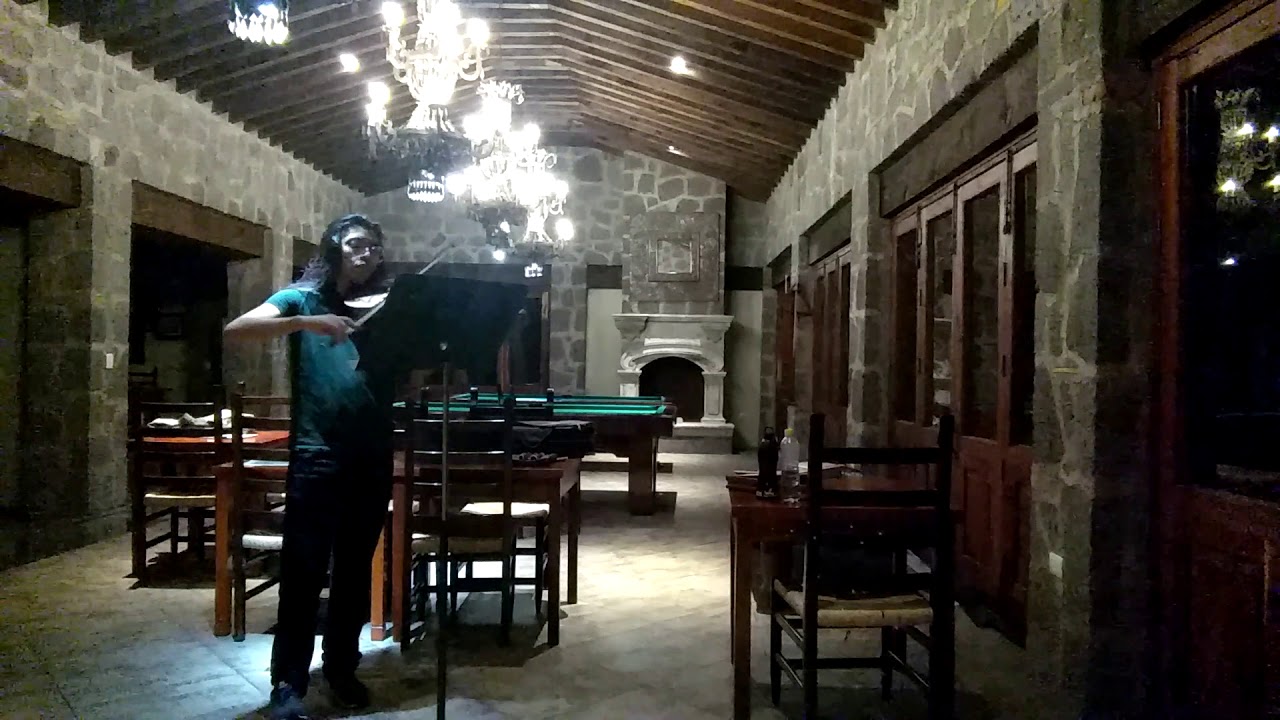 Allemanda suit 1 viola - YouTube