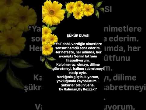 🤲 ŞÜKÜR DUASI 🤲#amin #şükür #allah #duam #shorts #keşfet #viral #keşfetbeniöneçıkar #keşfetedüş