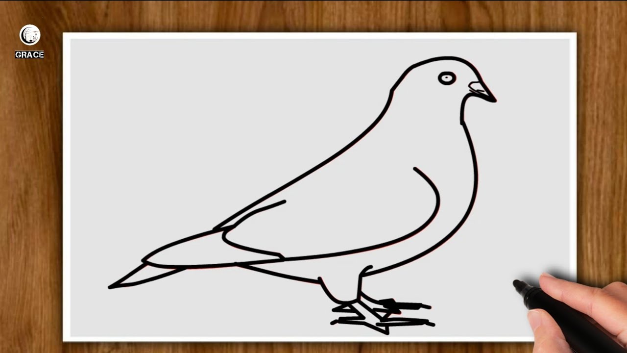 CÓMO DIBUJAR UNA PALOMA - Tutorial Perfecto Para Principiantes ️ (FÁCIL ...
