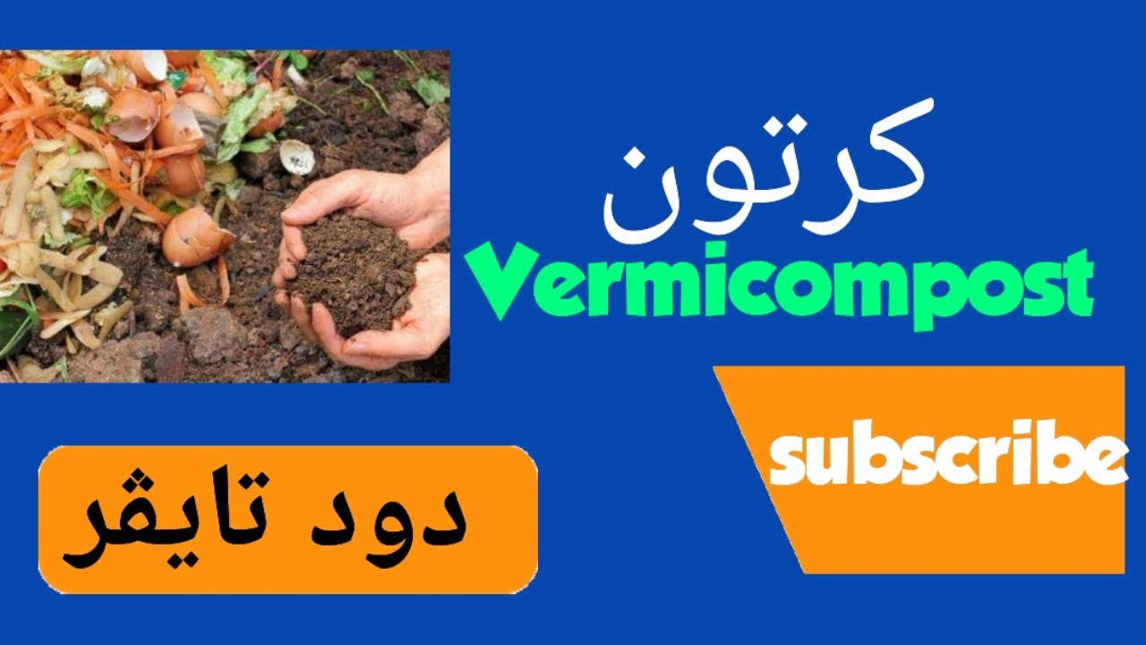 تحول الكرتون الى فيرمي كومبست vermicomposte🪱🪱💯🔥 - YouTube