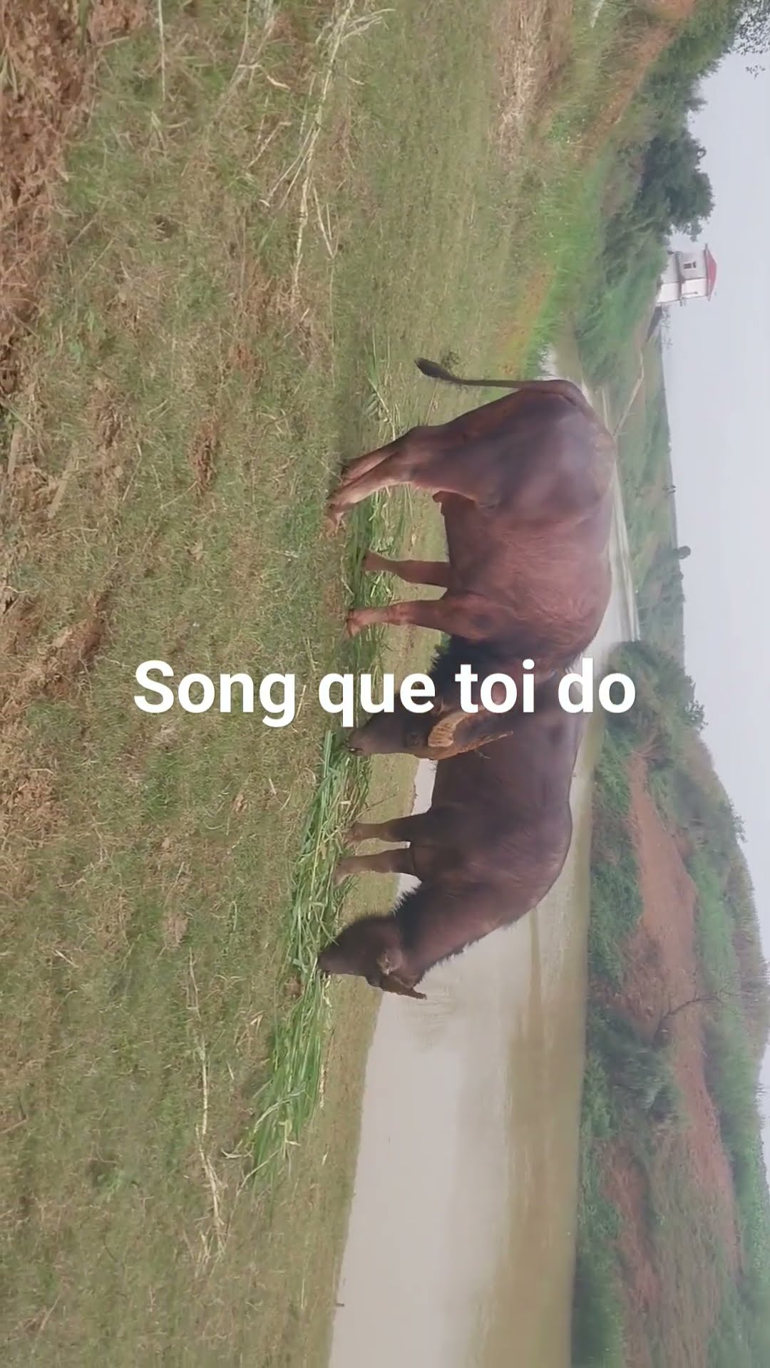 song que toi do - YouTube
