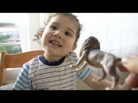ECE CEYLİN İLE PARMAK AİLESİ ŞARKISI / FİNGER FAMİLY NURSERY RHYMES / EĞLENCELİ ÇOCUK VİDEOSU