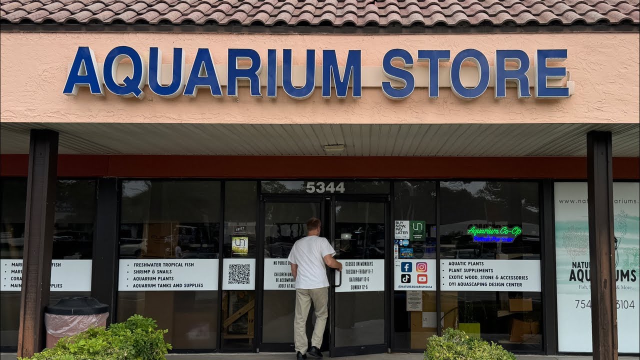 Nature Aquariums Revisited Fish Store Tour! - YouTube