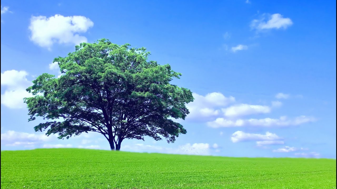 Cross Place Worship 20240526 - YouTube