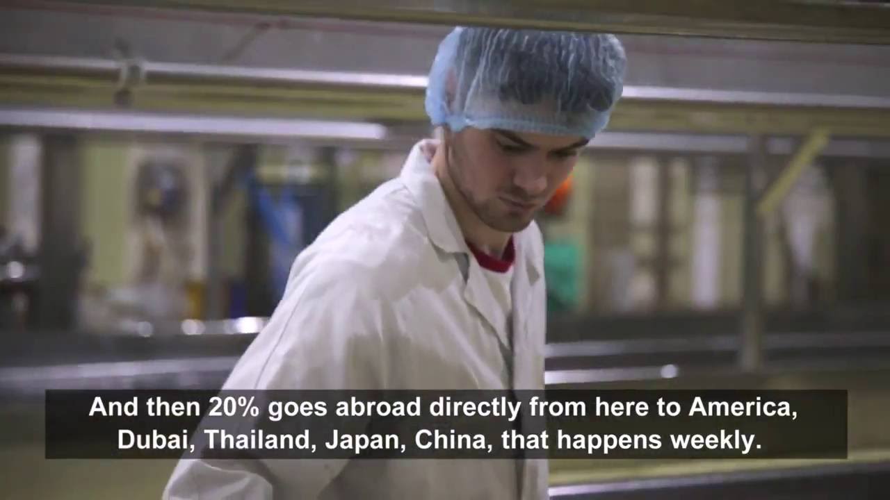 Dairy Partners (Cymraeg) - YouTube