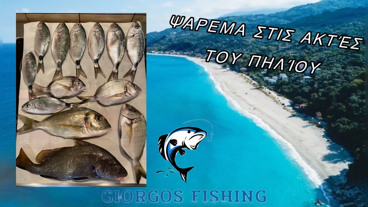 ΨΑΡΕΜΑ ΣΤΟ ΠΗΛΙΟ ΚΑΙ ΣΤΟ ΣΑΝΗ ΧΑΛΚΙΔΙΚΗΣ - YouTube