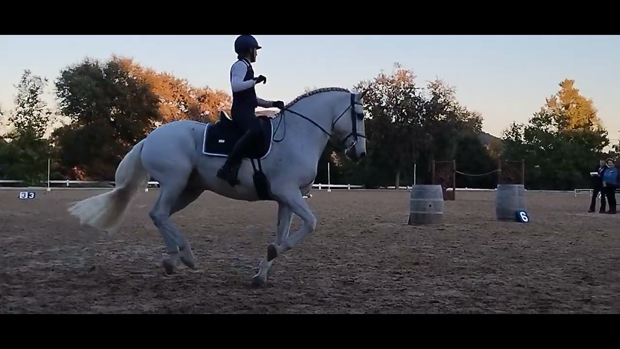 Sarah Pinney - Speed -El Campeon Working Equitation show day 1 - Master ...