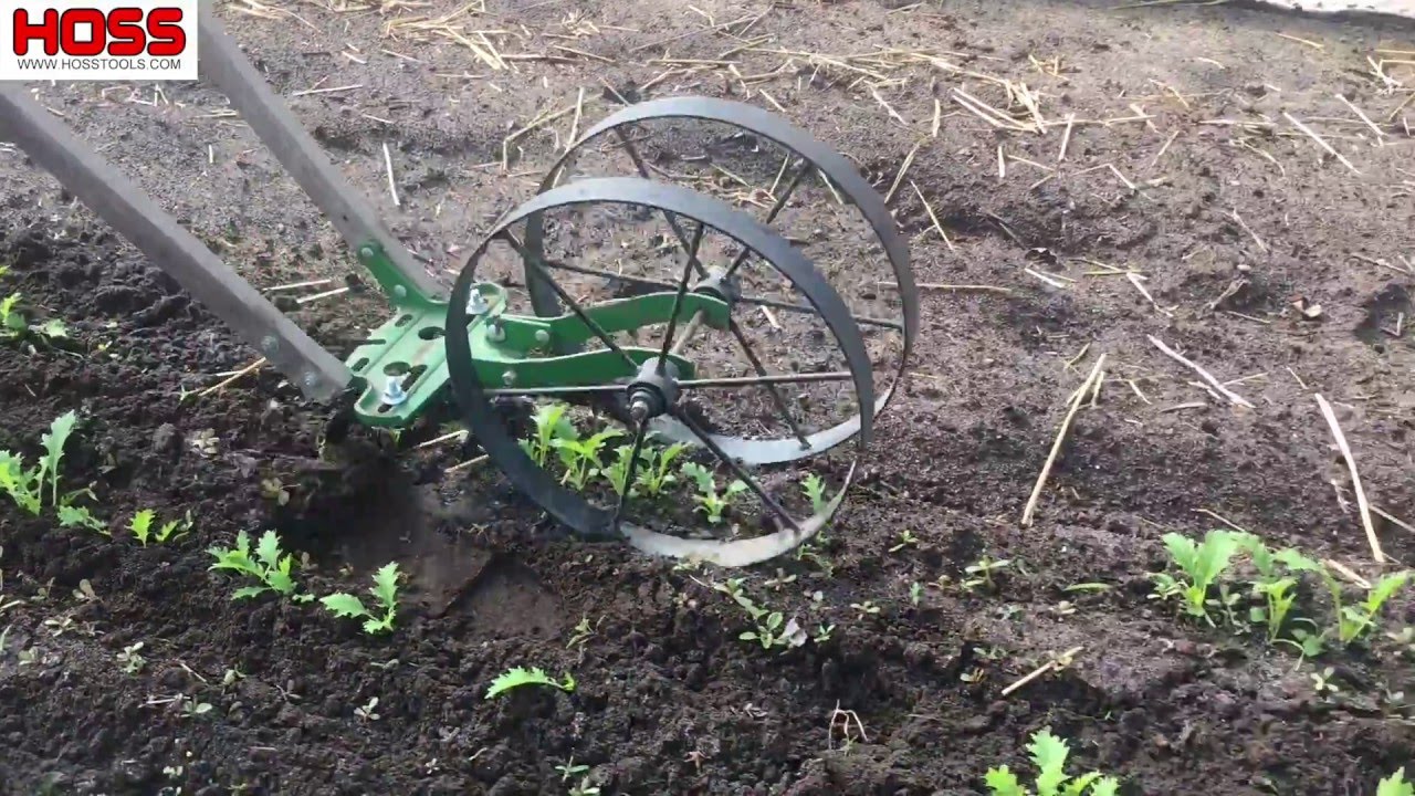 Wheel Hoe Weeding Asian Greens - YouTube