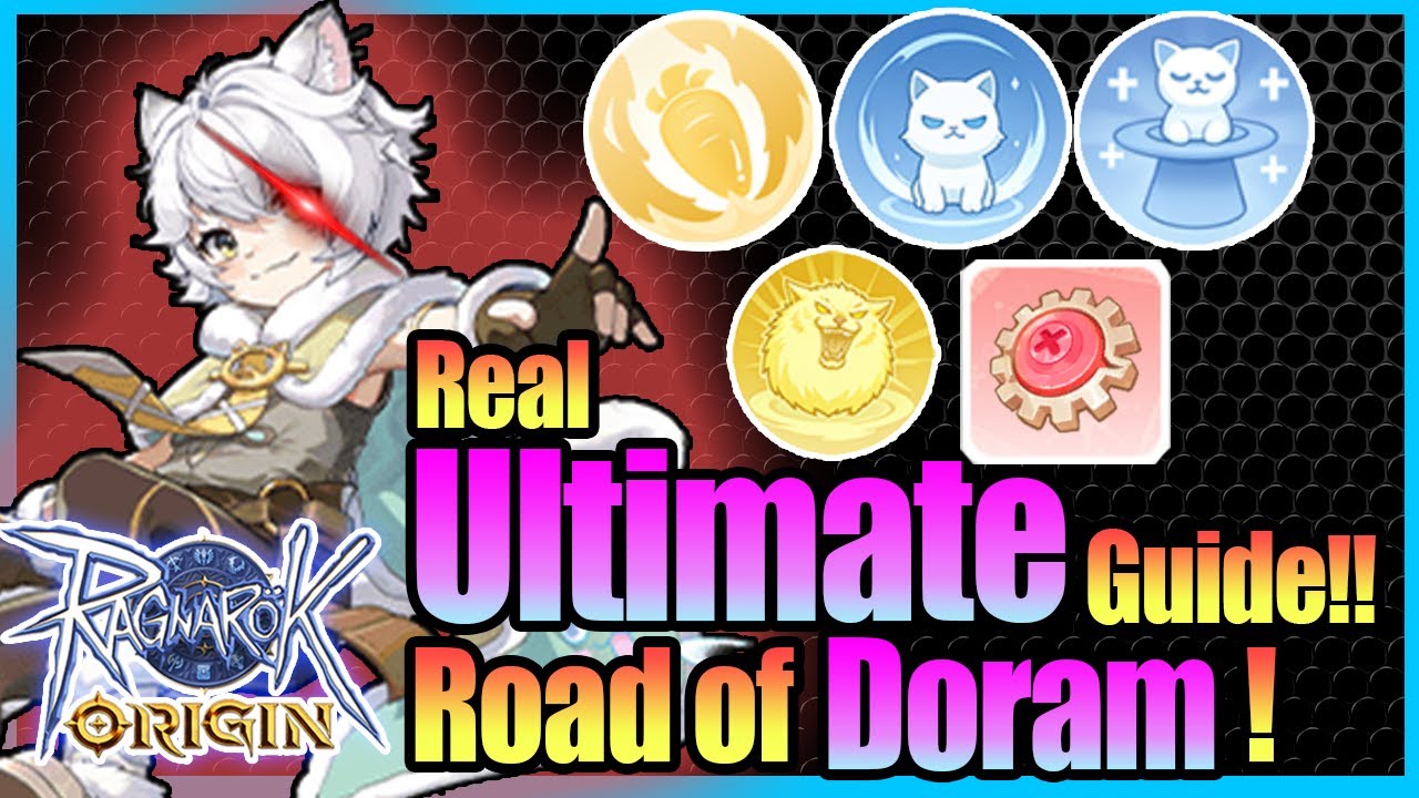 Real ULTIMATE Doram Guide!! Equipment, Skill with Tips Included ...
