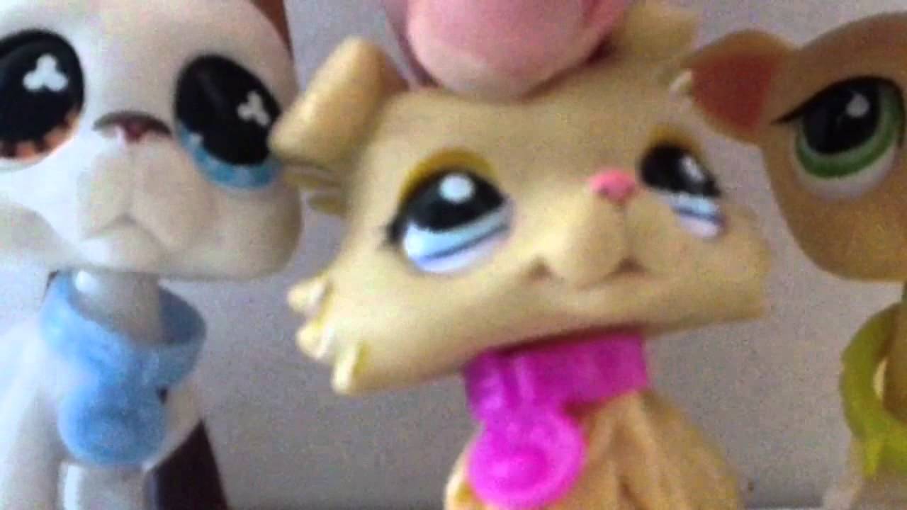 Lps Random Dare Us ( Plz Leave Dares) - YouTube