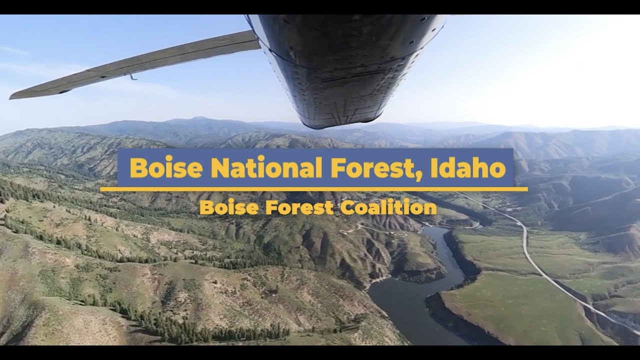 Forest Restoration on the Boise National Forest - YouTube
