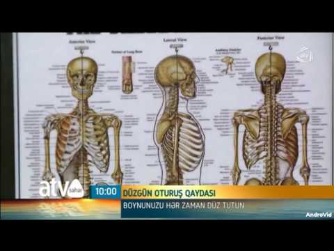 Duzgun oturus qaydasi