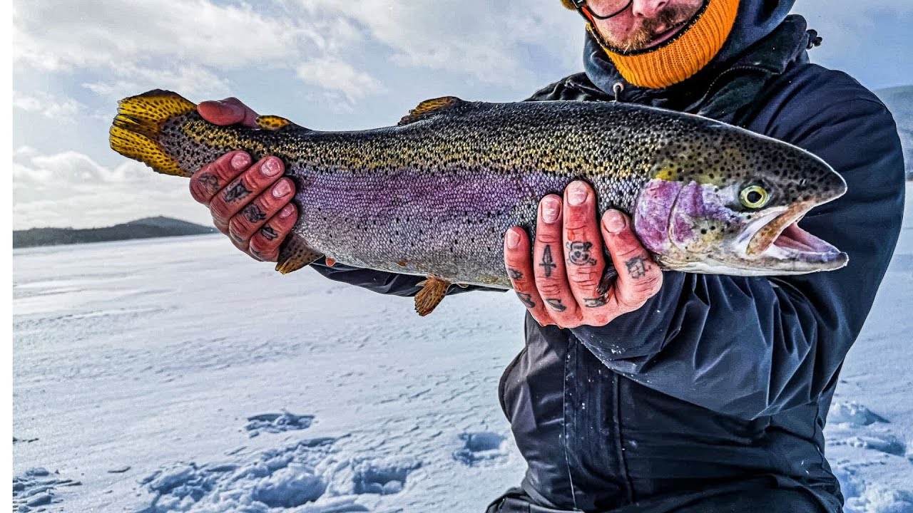 The Skunk Is Over || I FOUND THE FISH! || ICE FISHING FOR TROUT - YouTube
