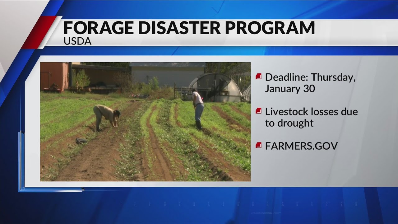 USDA Livestock Forage Disaster Program deadline approaching - YouTube