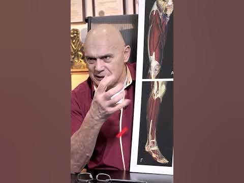 Как работает кровообращение в стопе? #shorts #бубновский #здоровье # ...