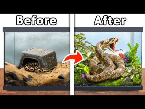 I Rescued a Snake from Facebook Marketplace