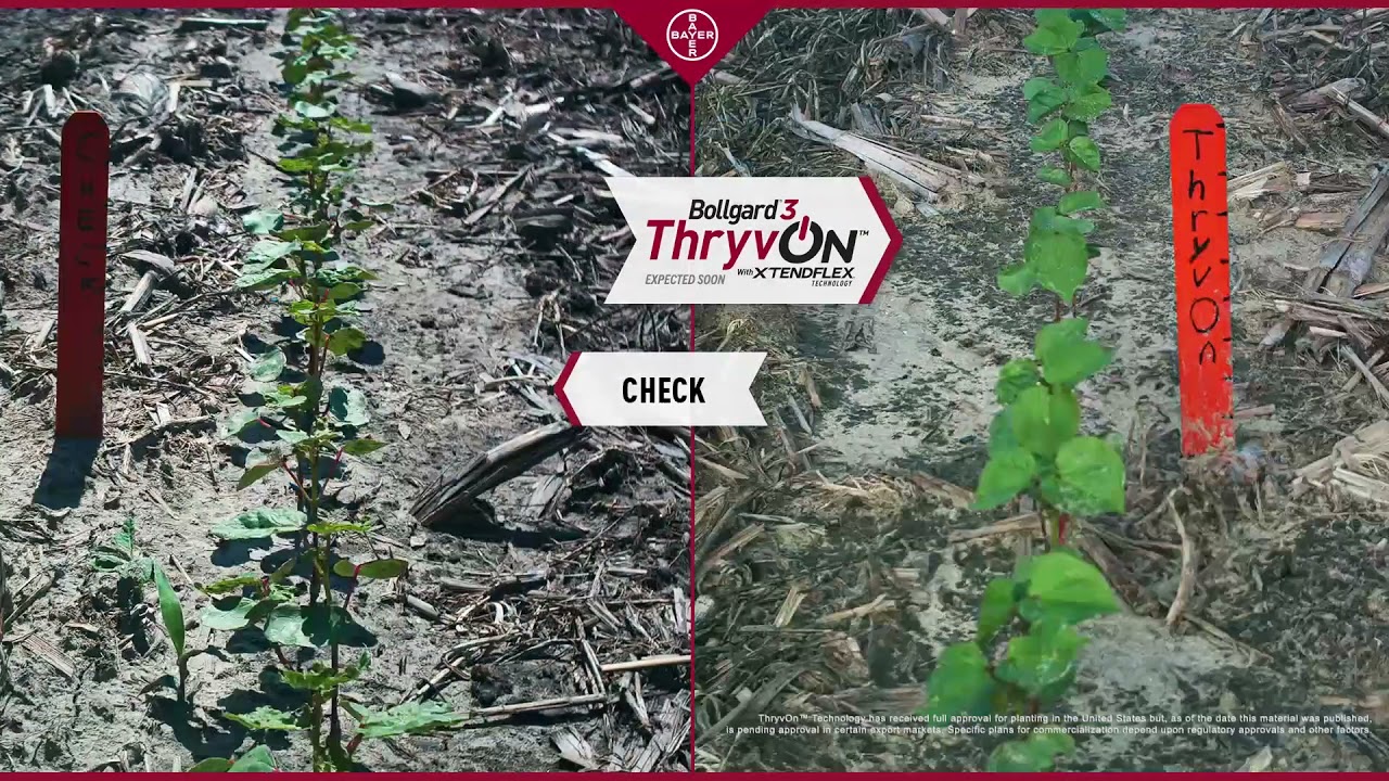 ThryvOn® Technology Time-Lapse - YouTube