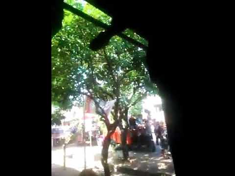 Karnaval jadul Parah Remas susu karnaval cerme #sigetkreasi