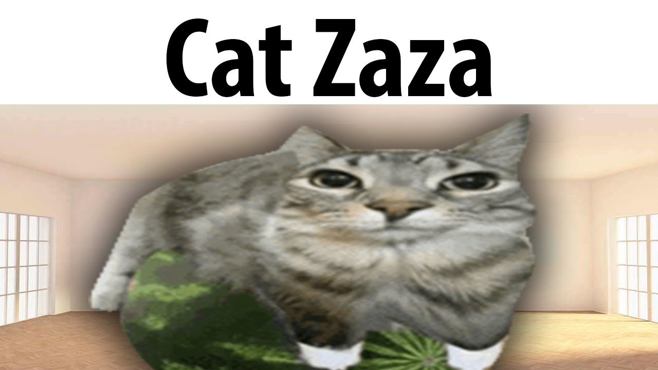 Cat Zaza - YouTube