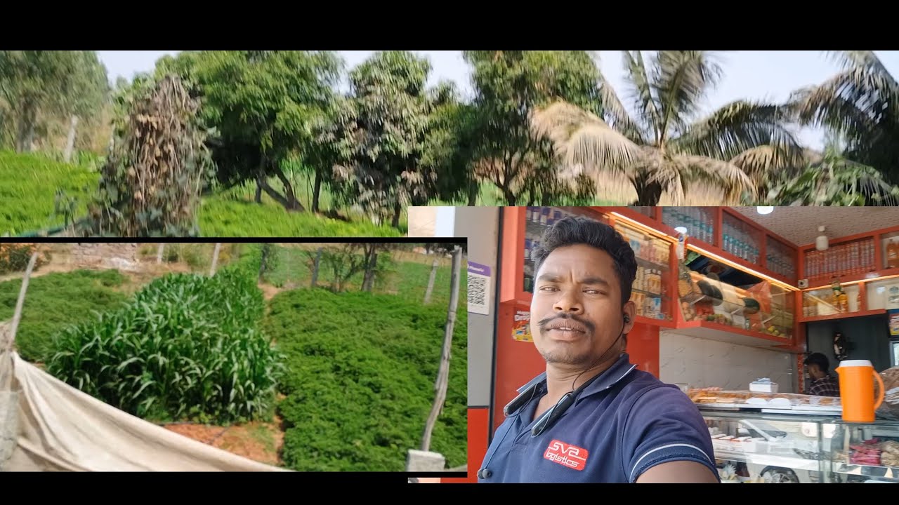 JUMBULI DAIRVAR NELEPE SANTALI VLOG VIDEO 10@jhakassereng @Lakhan-x4y # ...