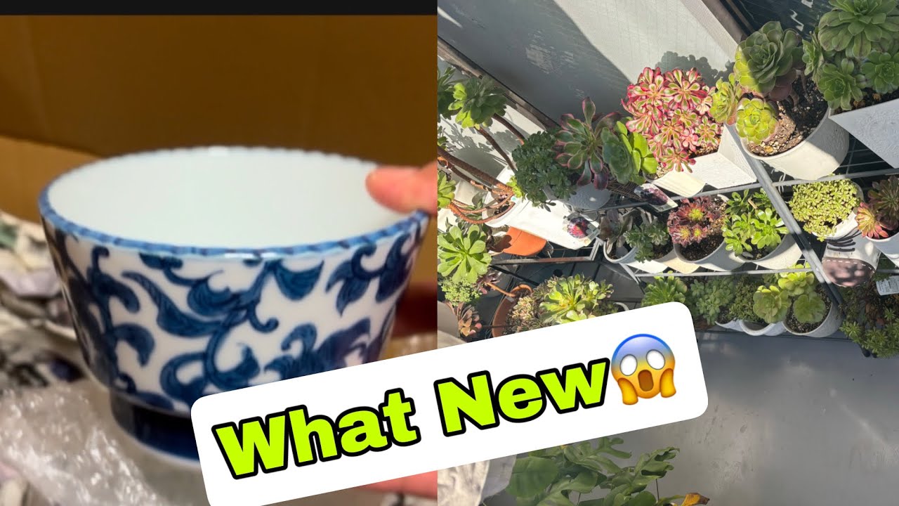 Pots Unboxing + My Veranda make over - YouTube