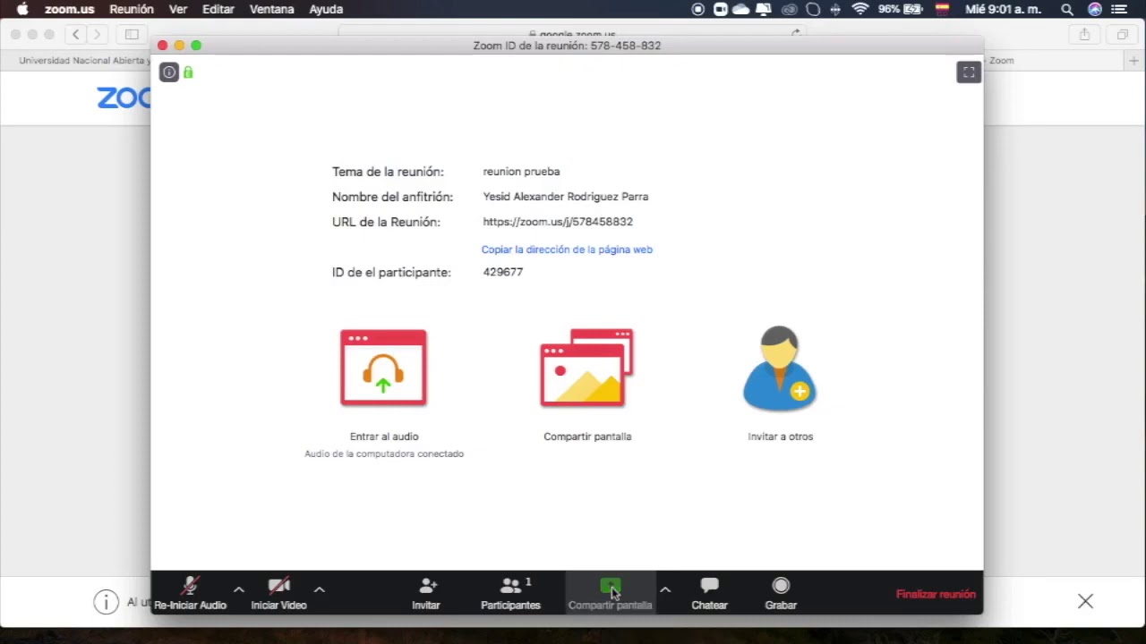 Uso básicos y protocolos para zoom - YouTube