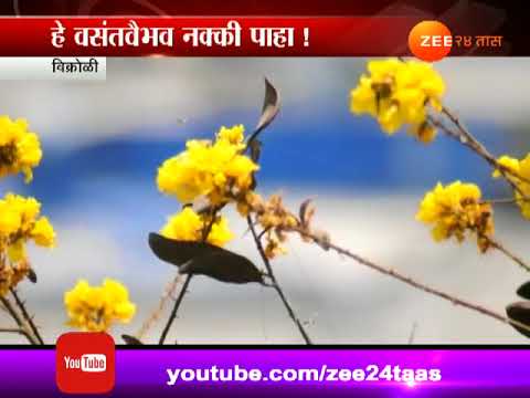 Mumbai,Vikroli Natural Flowers Decorated In LBS Road - YouTube