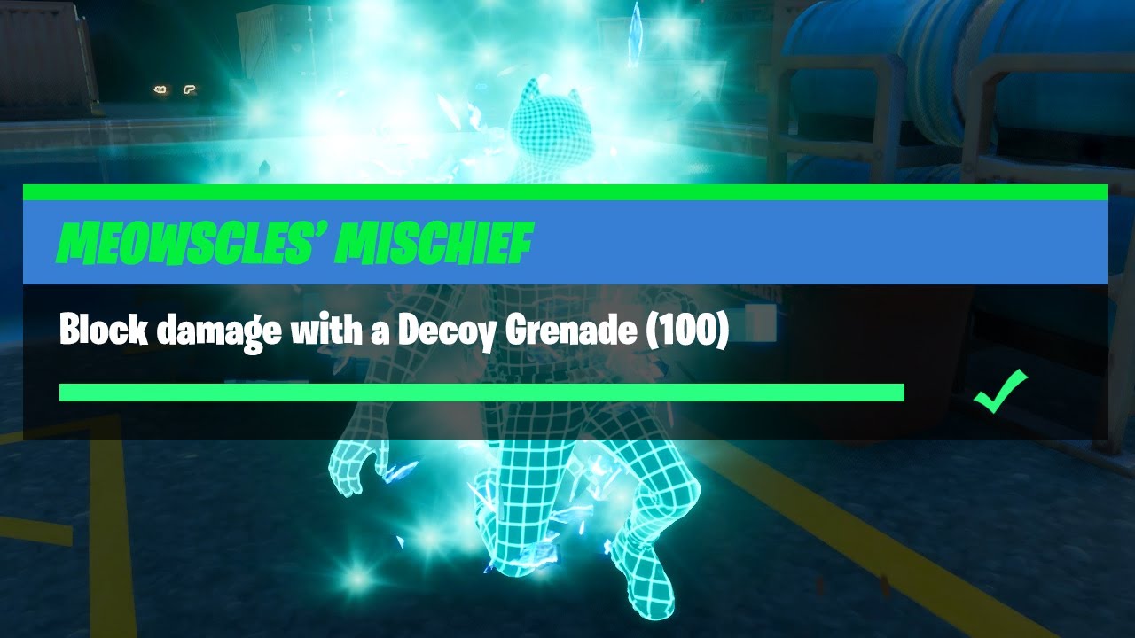 Block Damage with a Decoy Grenade (100) - Fortnite Meowscles' Mischief ...