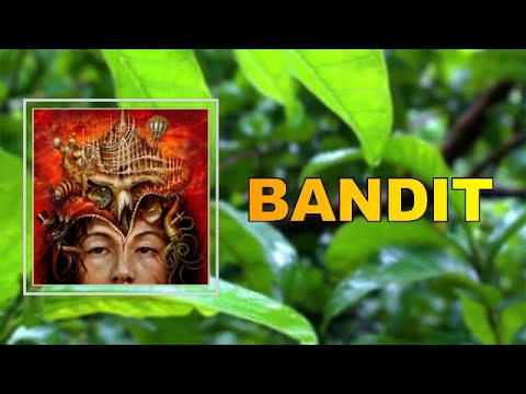 Sub Urban - BANDIT (Lyrics) - YouTube
