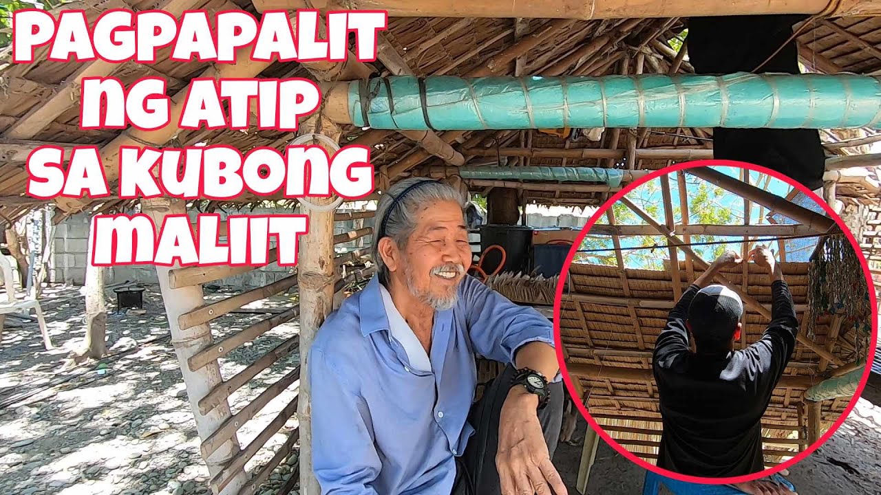 VLOG 418: PAGPAPALIT NG ATIP SA KUBONG MALIIT - YouTube