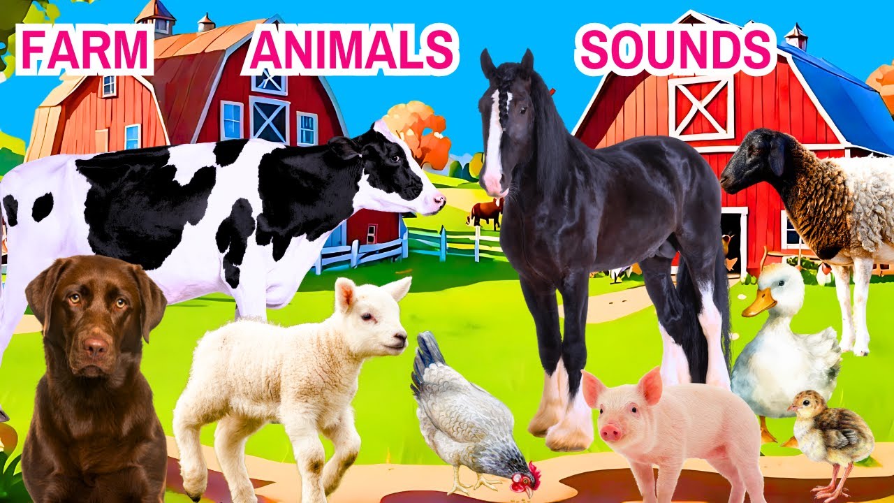 Farm Animals Sounds for Kids | Learn Animal Noises, Names, & Moments ...