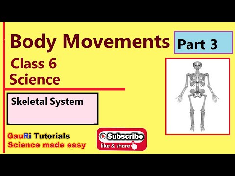 Body Movements Part 3 Class 6 Science - YouTube