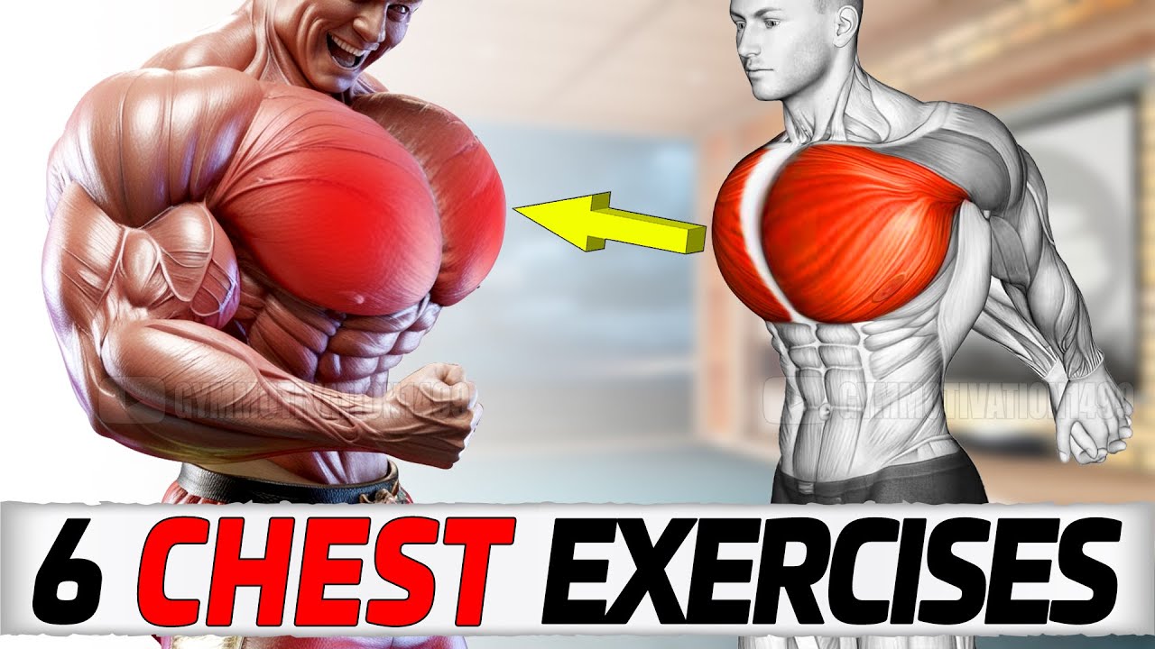 6 Effective Exercises to Get Big Chest Fast - YouTube