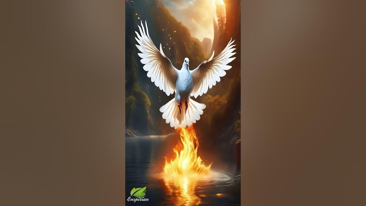 he-will-baptize-you-with-the-holy-spirit-and-with-fire-matthew-3-11