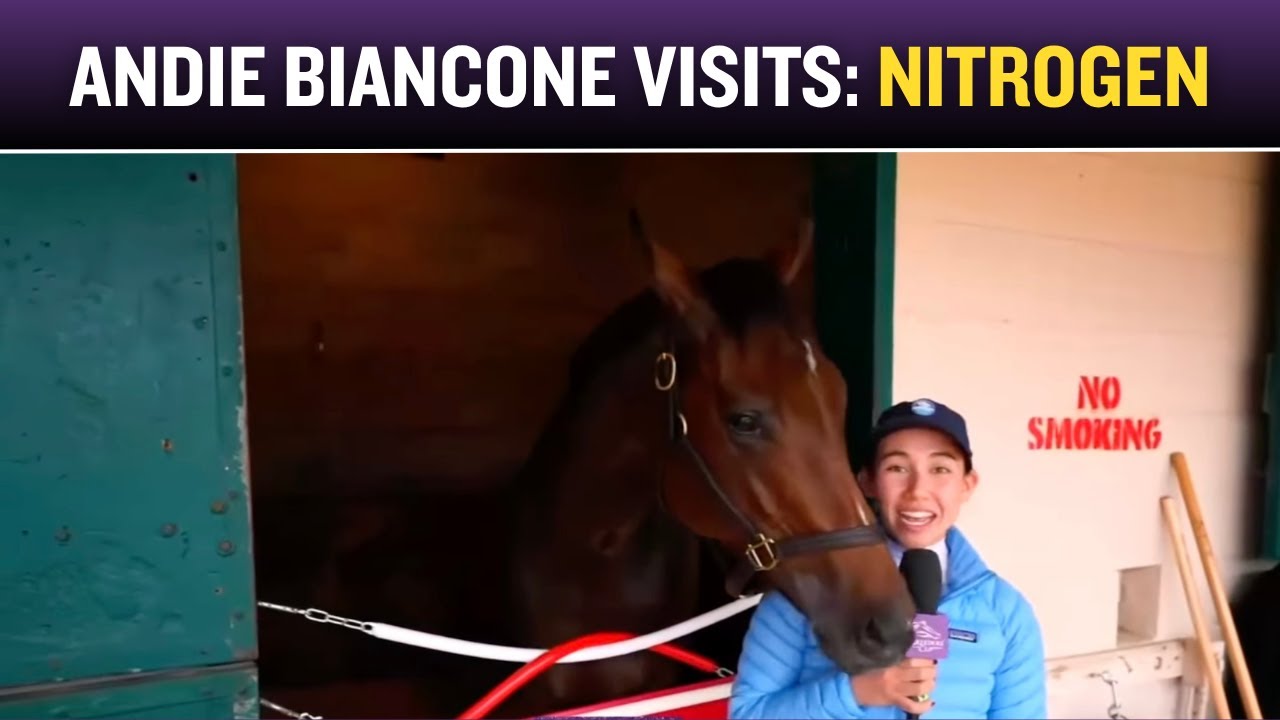 Hang Out With Andie Biancone & Breeders' Cup Distaff Contender Nitrogen ...
