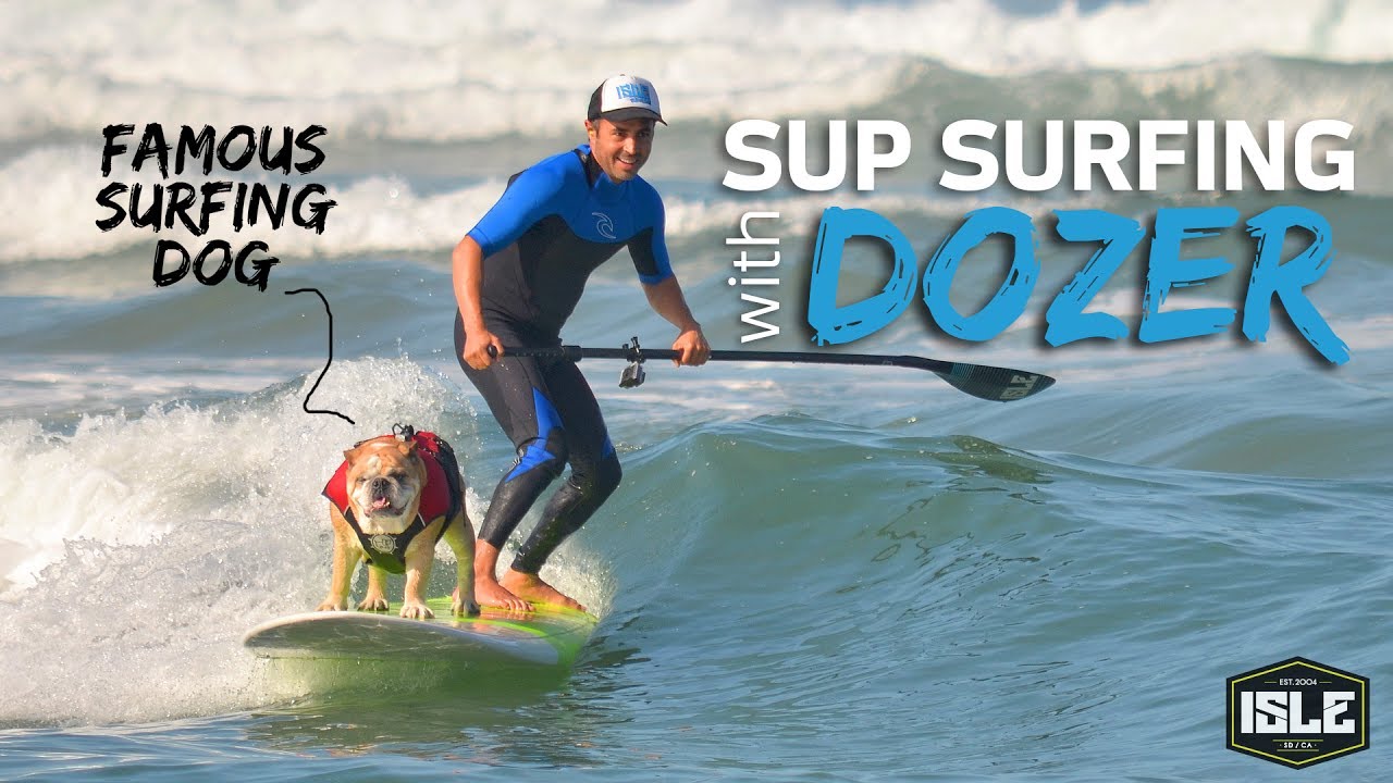ISLE SUPs with Dozer the Famous Surfing Dog - YouTube