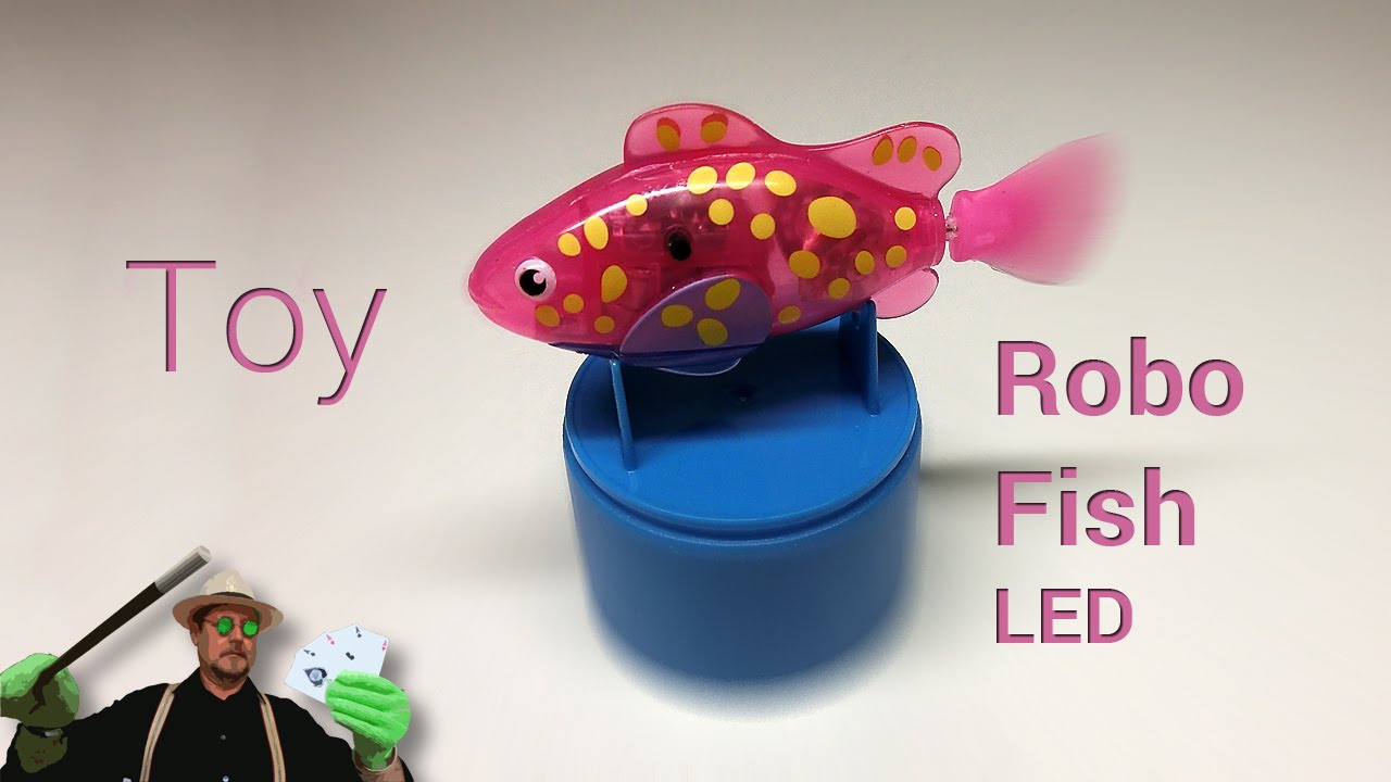 Juguete: Robo Fish LED (Toy Robofish LED) REVIEW - YouTube