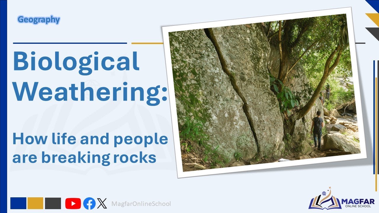 Biological Weathering, How life and people are breaking rocks! - YouTube