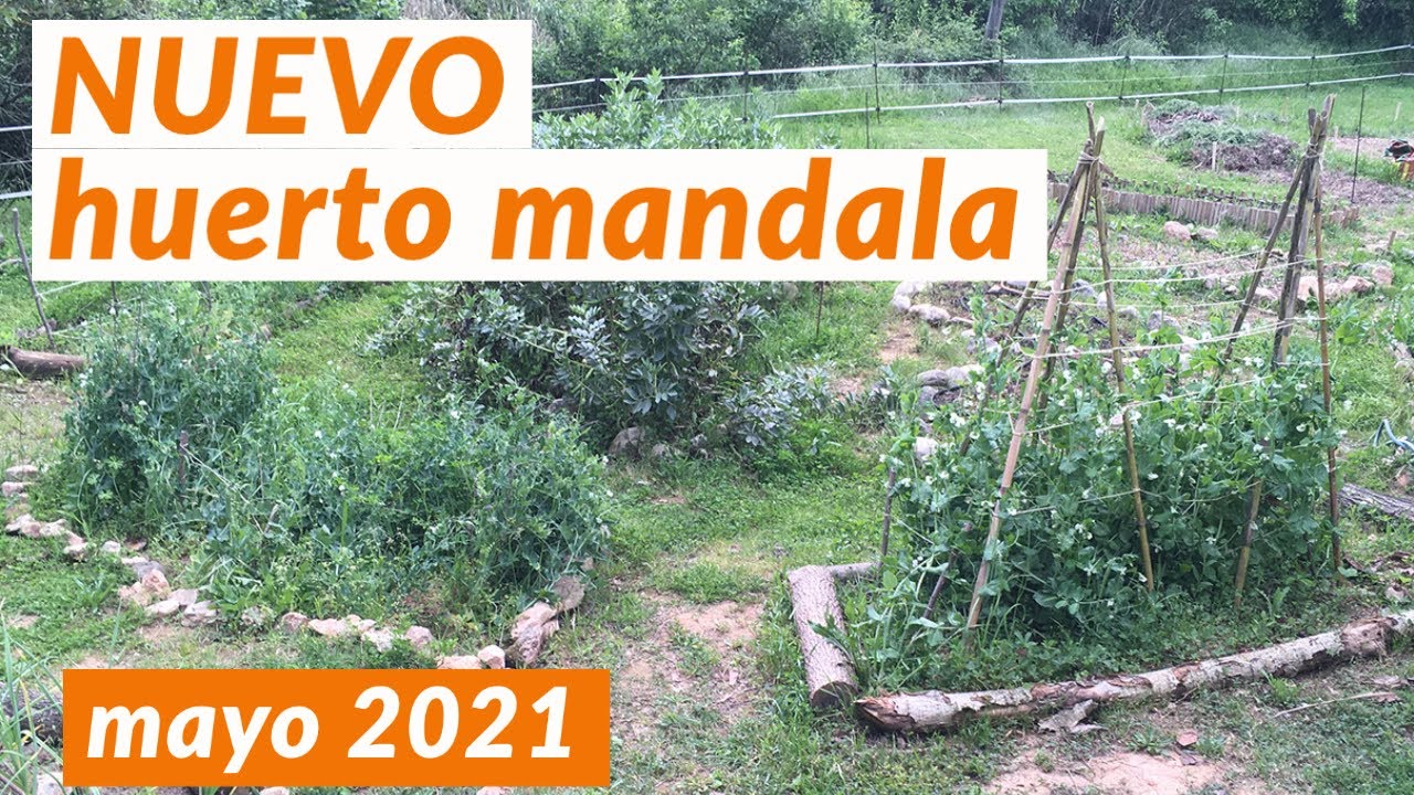 👀 Tour por el OTRO HUERTO MANDALA | mayo 2021 | Permacultura - YouTube
