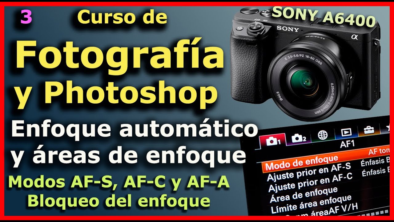 Curso de fotografía ENFOQUE AUTOMÁTICO AF Modos y áreas de enfoque ...
