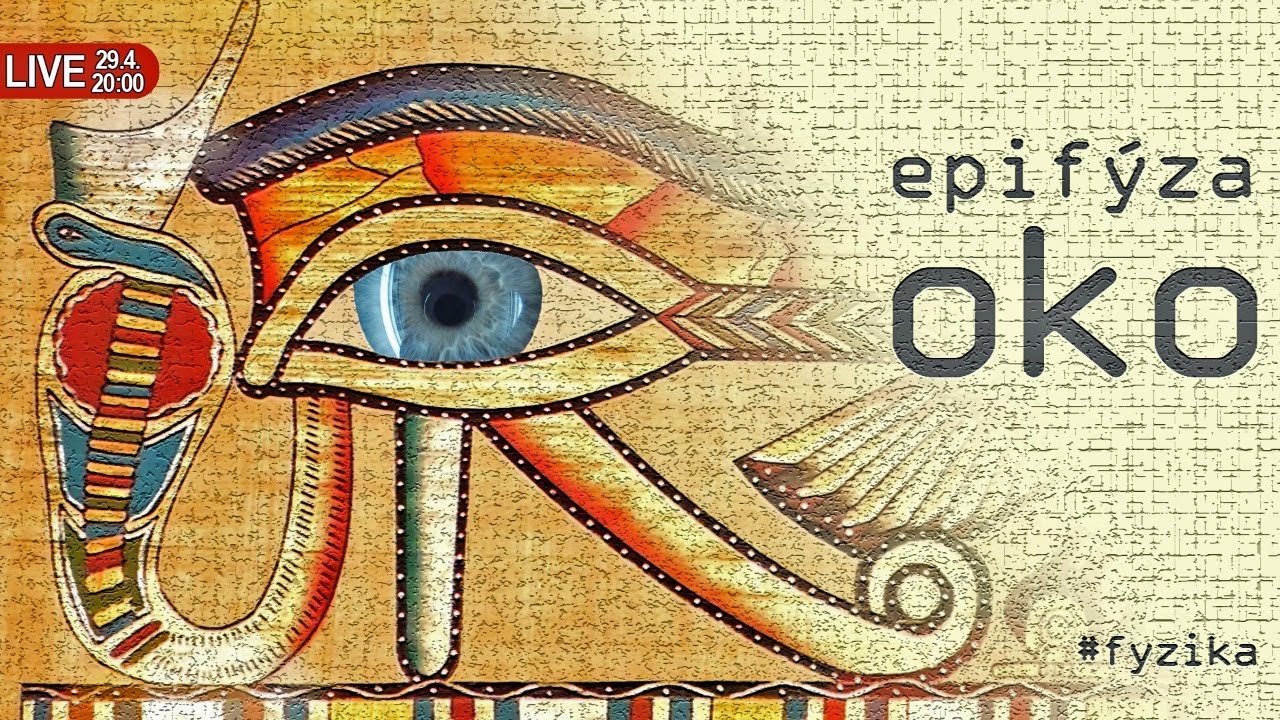 fyzika | medicína | Epifýza, oko, příjem informace - YouTube