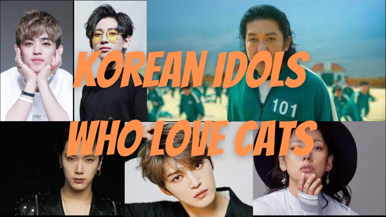 K-Pop Idols who Love Cats Part 3🐱 Jaejoong JYJ, Seventeen Seungcheol ...