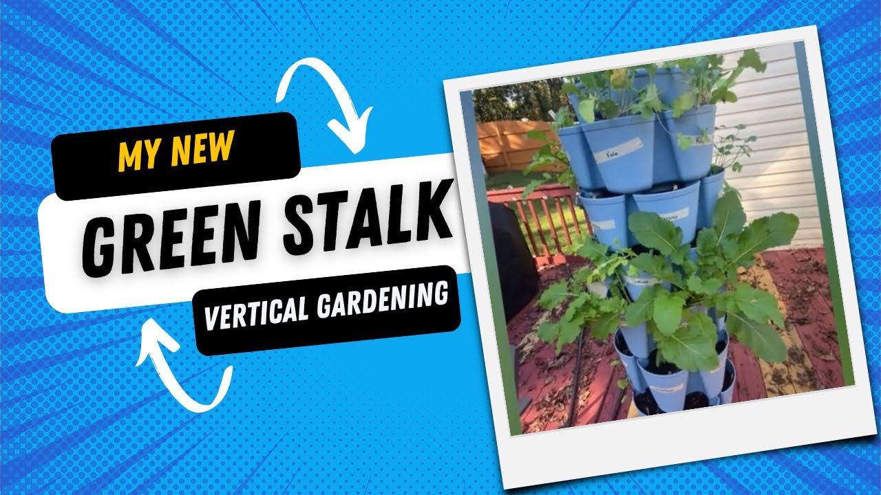Take a TOUR of my new Green Stalk! - YouTube