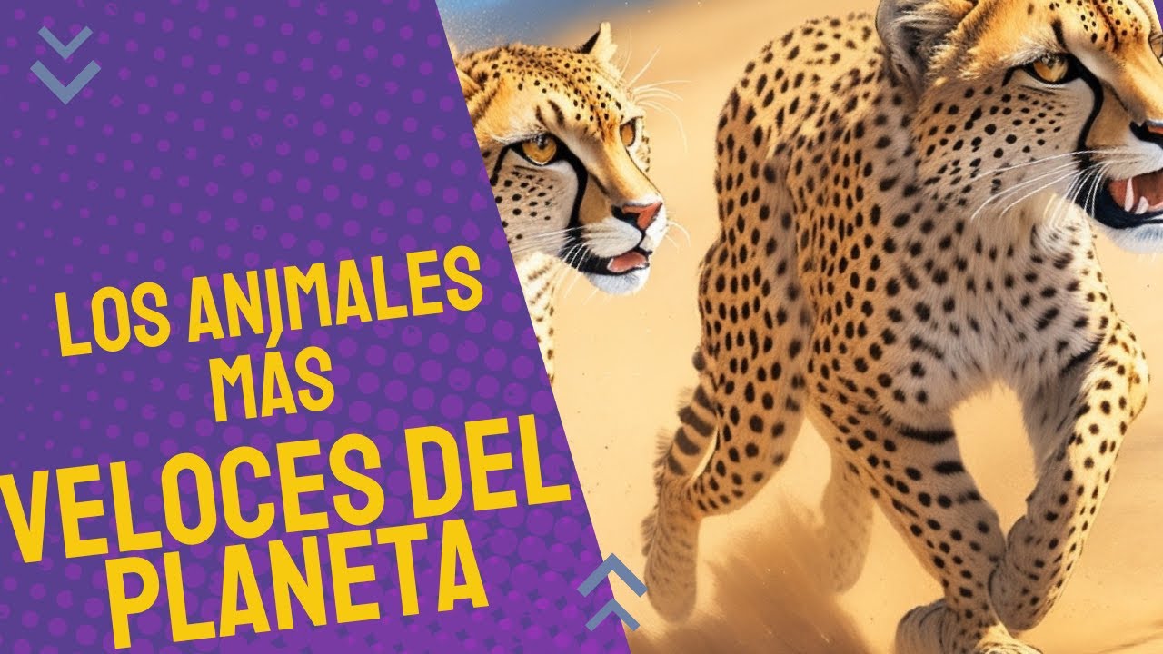 🏃💨 "Los animales más veloces del planeta: ¡Prepárate para la carrera ...