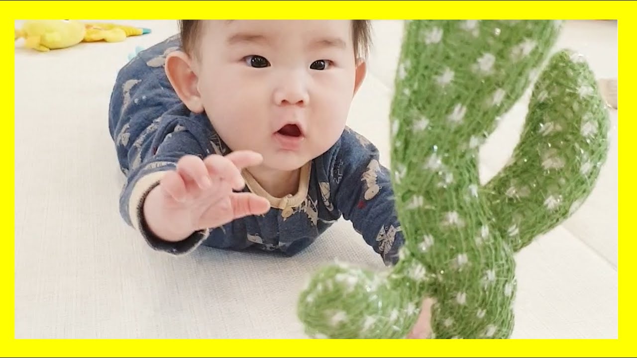 말하는 선인장 인형 처음 본 아기 반응 Youtube