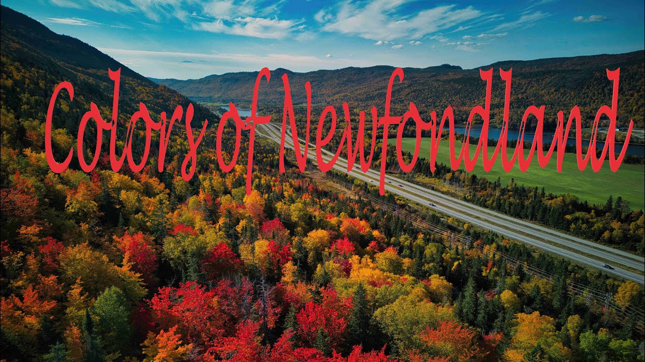 Colors of Newfoundland's Halloween type fall , New Video coming late ...