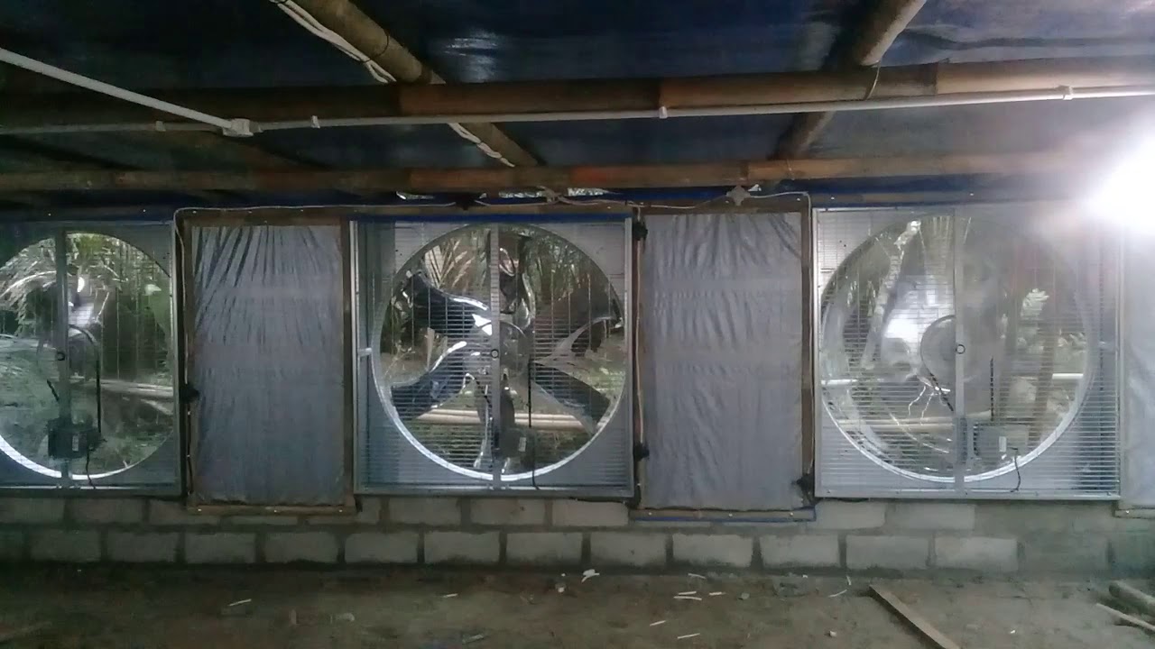 Instalasi Blower 3 phase kandang ayam - YouTube