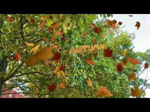 Autumn season also known as Fall or Patjhad /Few lines on Autumn season ...